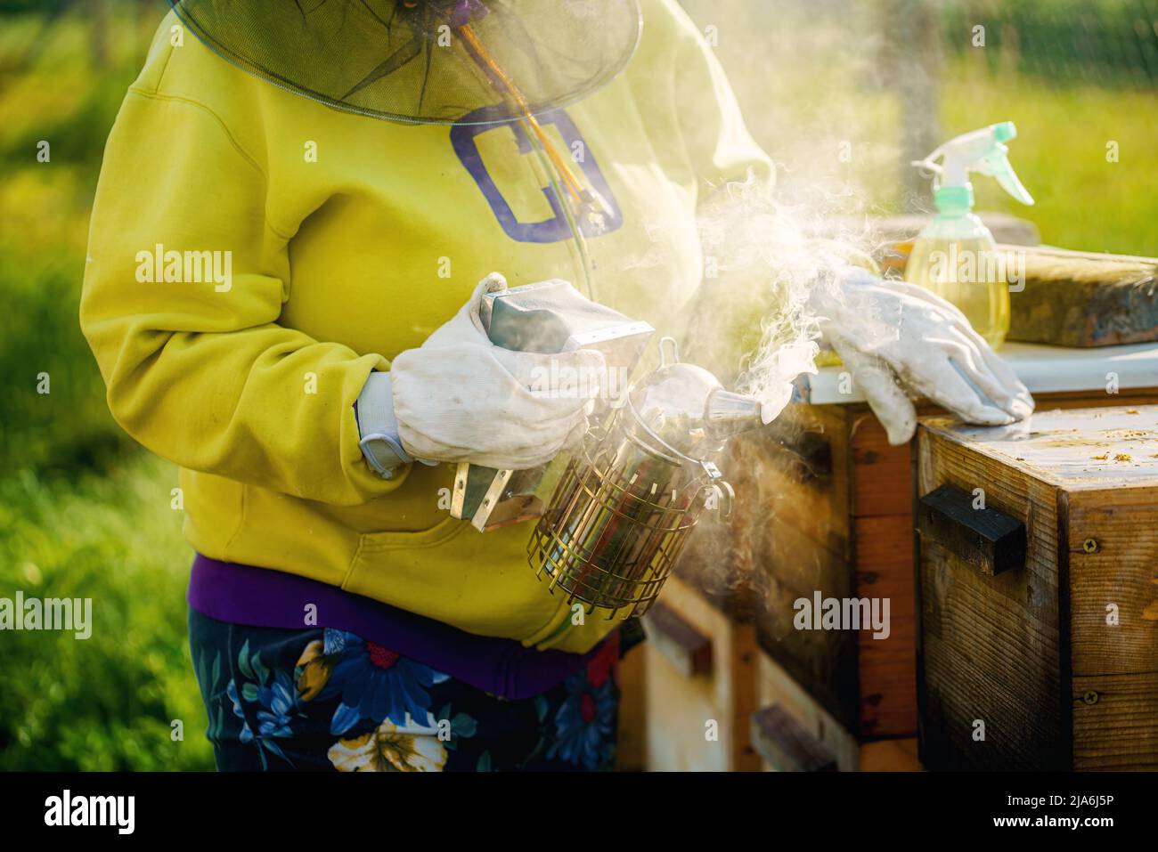 Smoke beekeeper for processing bees by smoke Stock Photo - Alamy