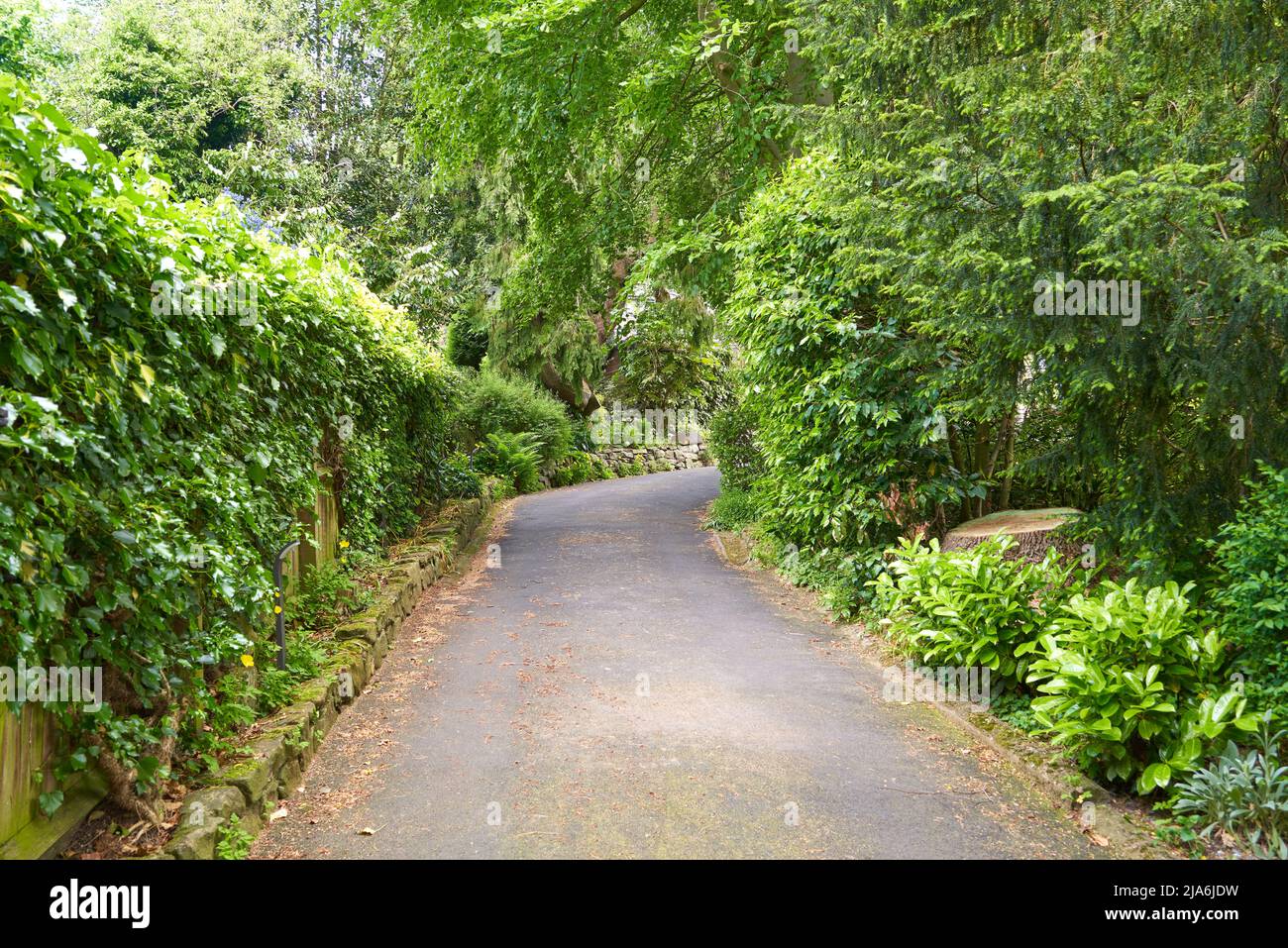 Private driveway and gardens Stock Photo - Alamy
