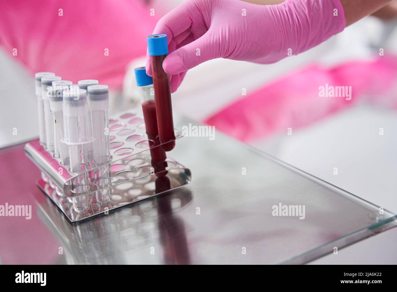 Hand in protective gloves places test tubes in special rack Stock Photo ...