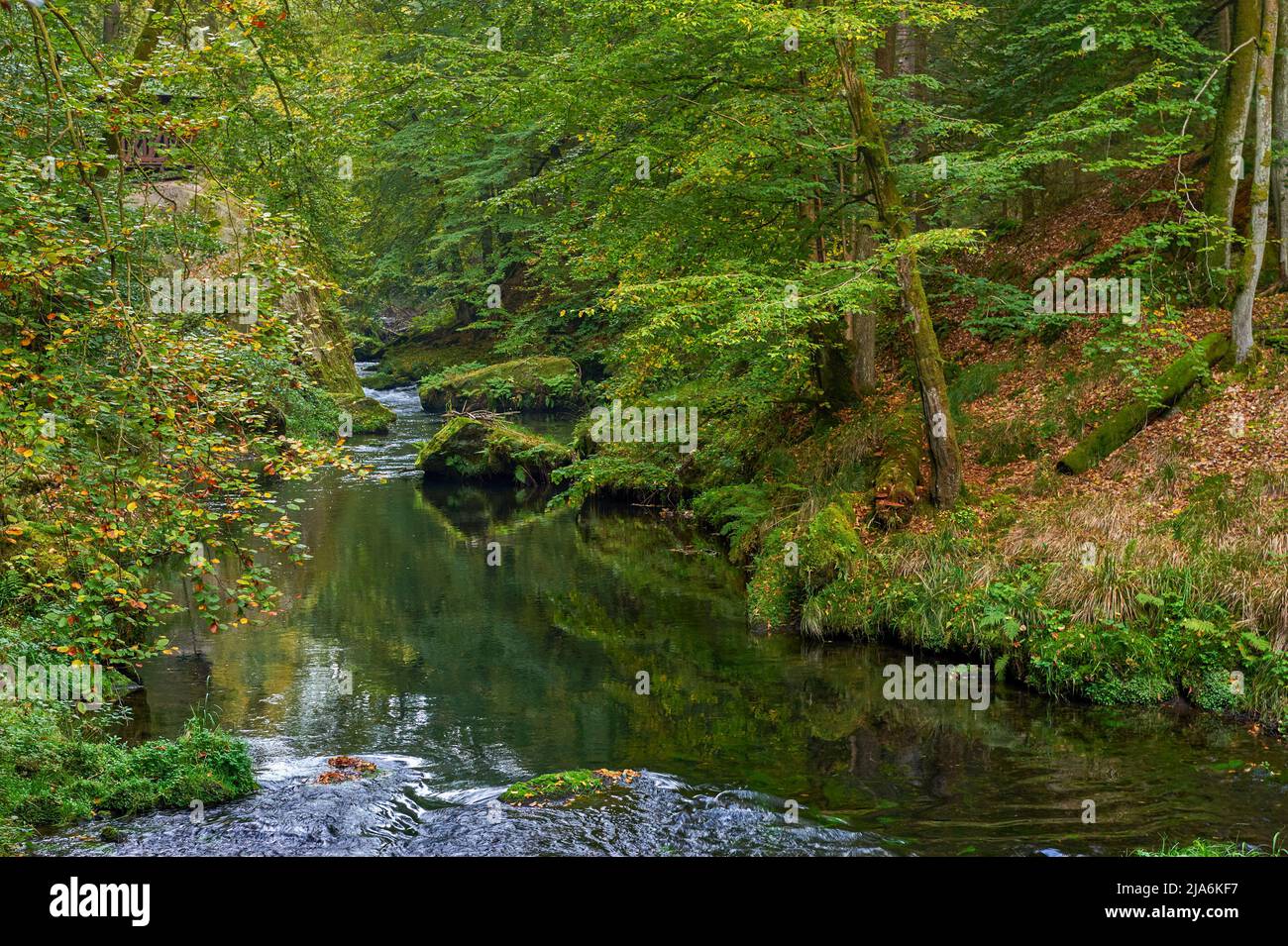 Scenic landscape in the Wild gorge in Bohemian Switzerland. Czech ...