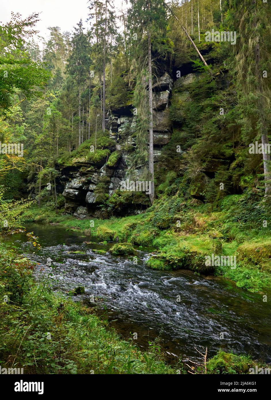 Scenic landscape in the Wild gorge in Bohemian Switzerland. Czech ...