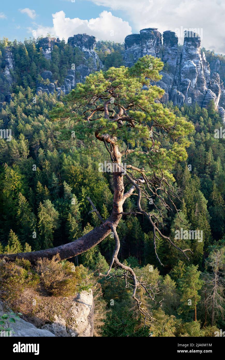 Walking in Bastei rocks, Germany Stock Photo - Alamy