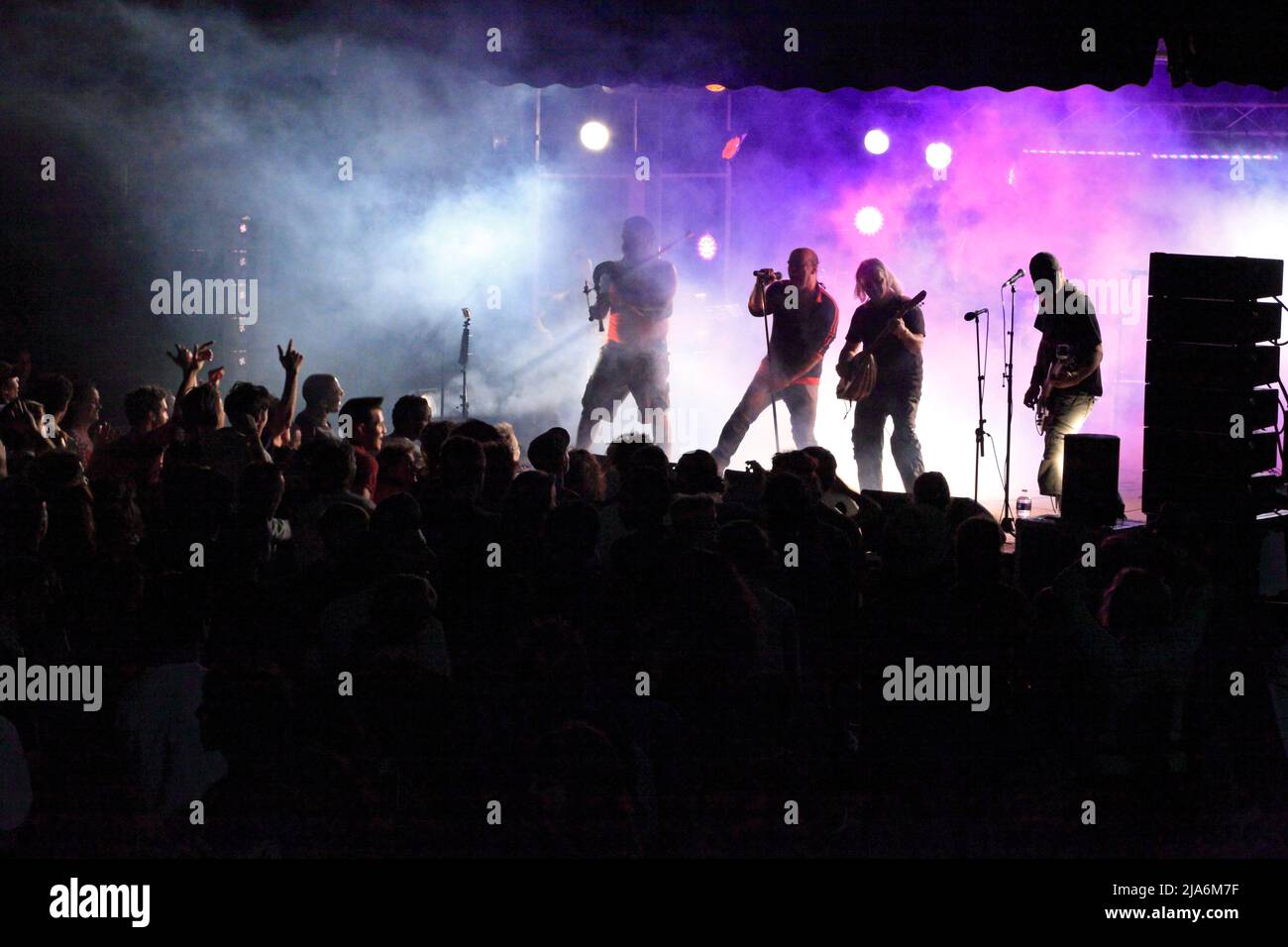 Concert by the group Goulamas'k during the Total Festum Festival and ...