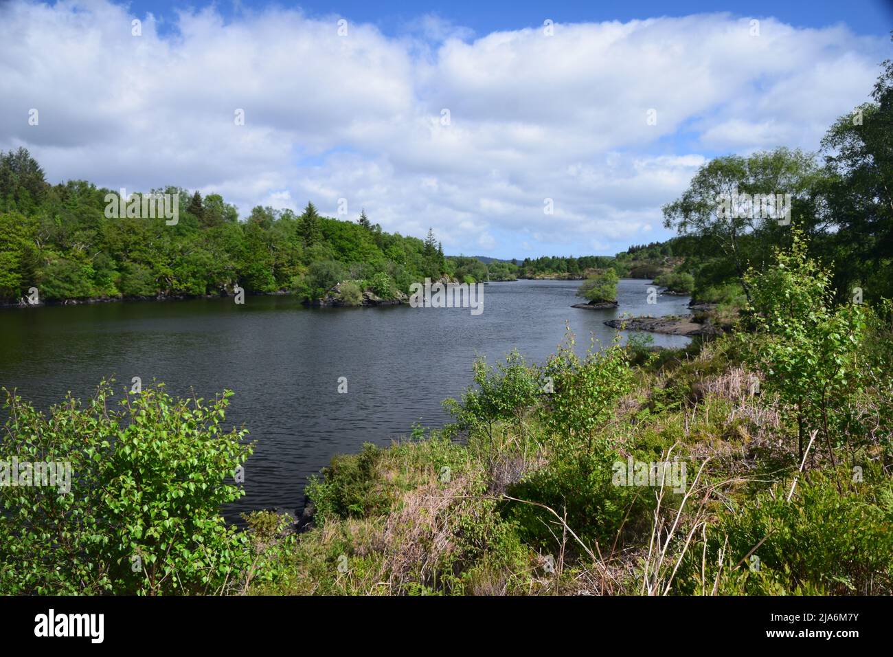 High up above Betws-y-Coed lies Llyn Elsi surrounded with forest and ...