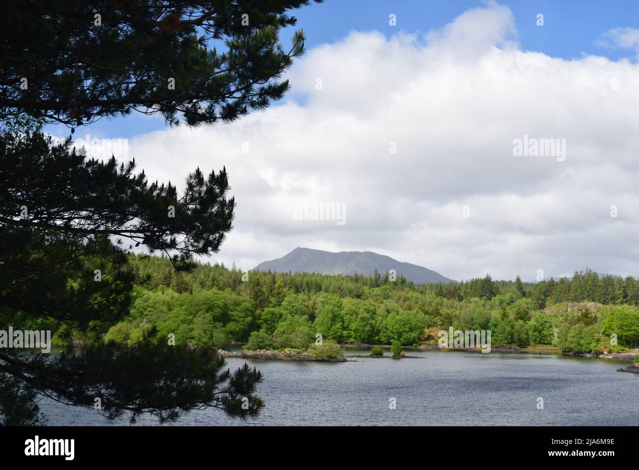 High up above Betws-y-Coed lies Llyn Elsi surrounded with forest and ...