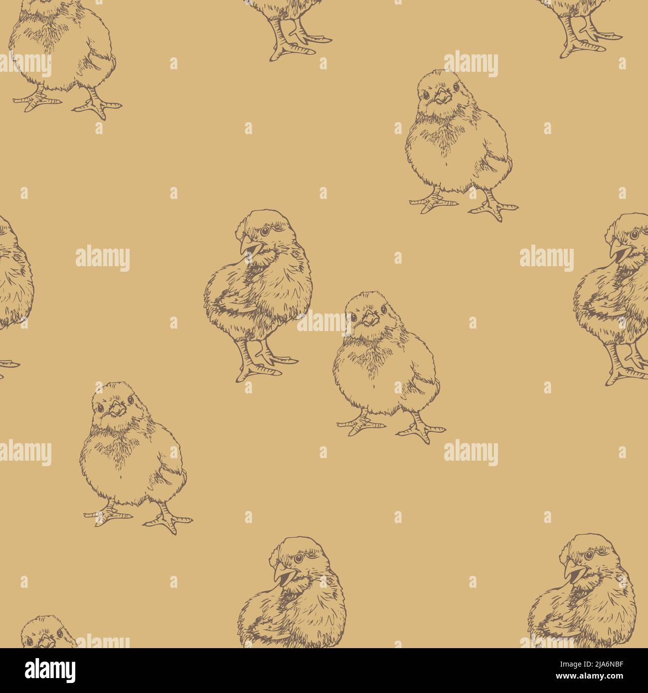 Vector seamless pattern with hand drawn outlines of chicks. Design with ...