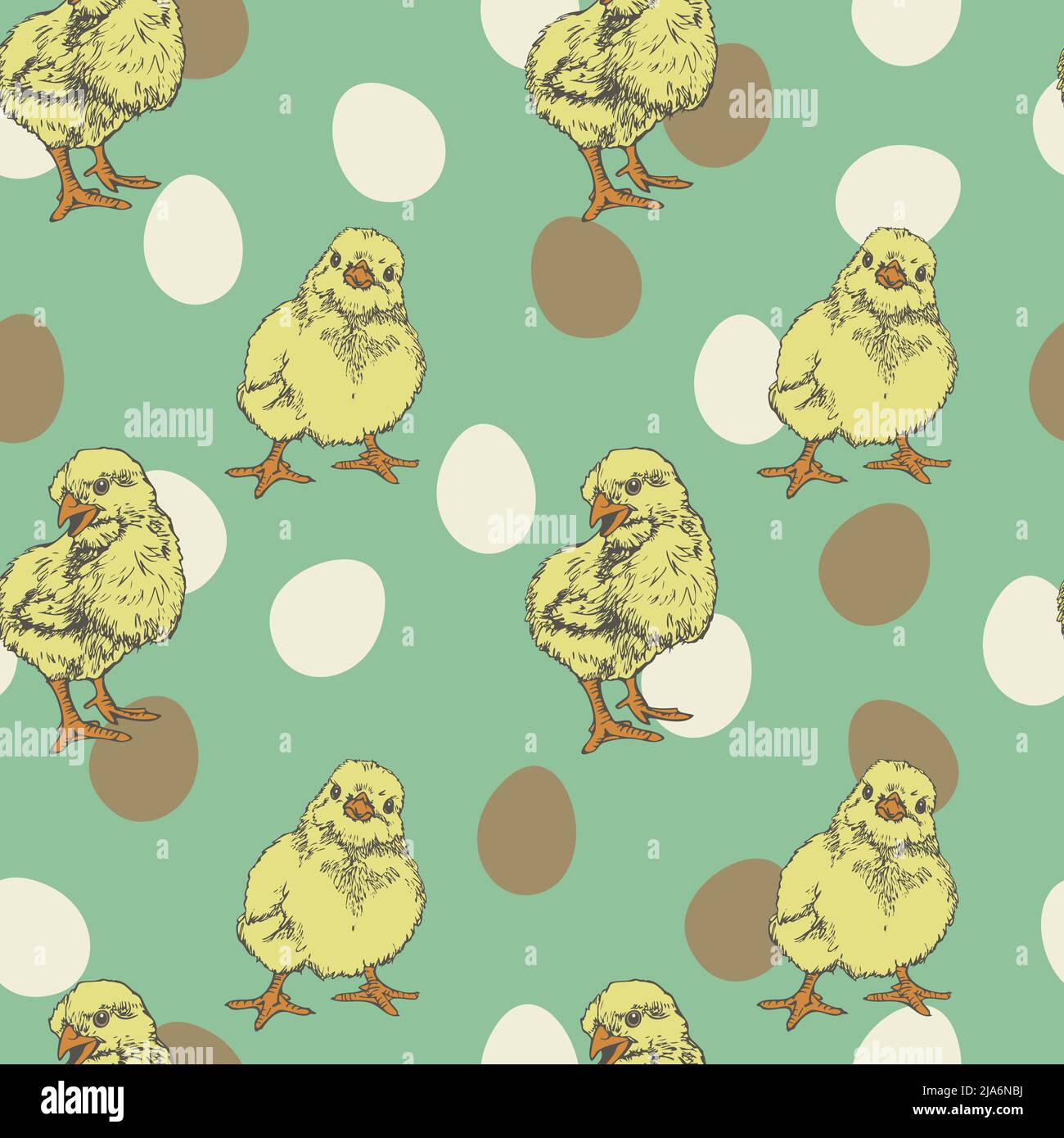 Vector seamless pattern with chicks and eggs. Hand drawn design with ...
