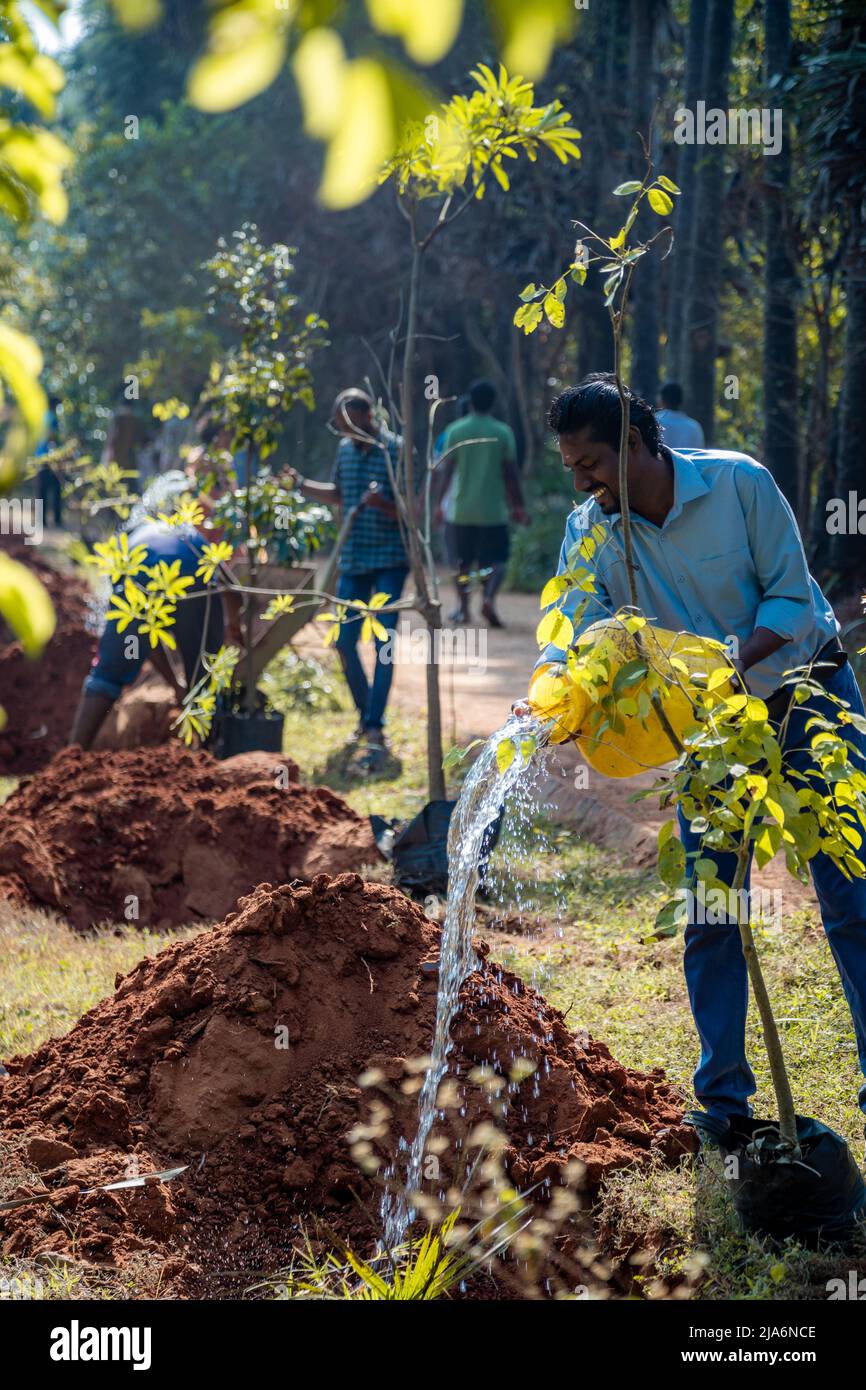 Indian man pouring water for tree planting Stock Photo - Alamy