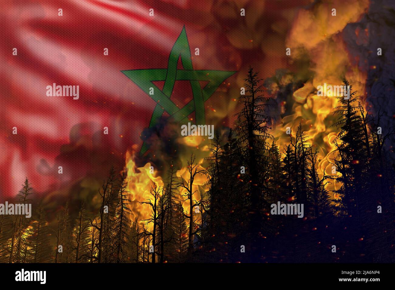 Forest fire fight concept, natural disaster - burning fire in the woods ...