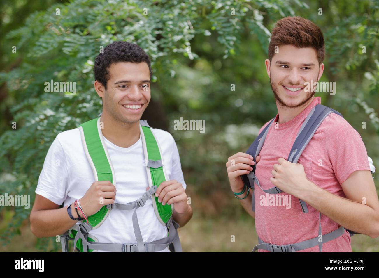 two men hiking in the forest Stock Photo - Alamy