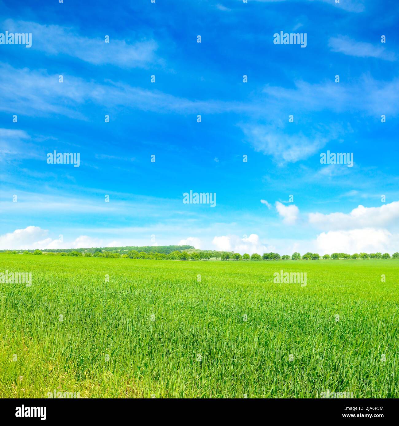 Agro landscape hi-res stock photography and images - Alamy