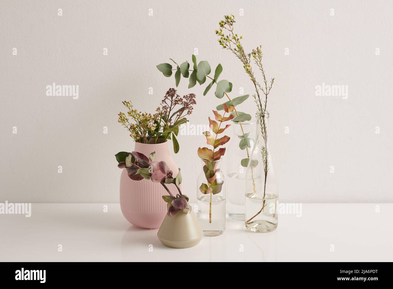 Still life composition of various flowers and plants in vases against ...