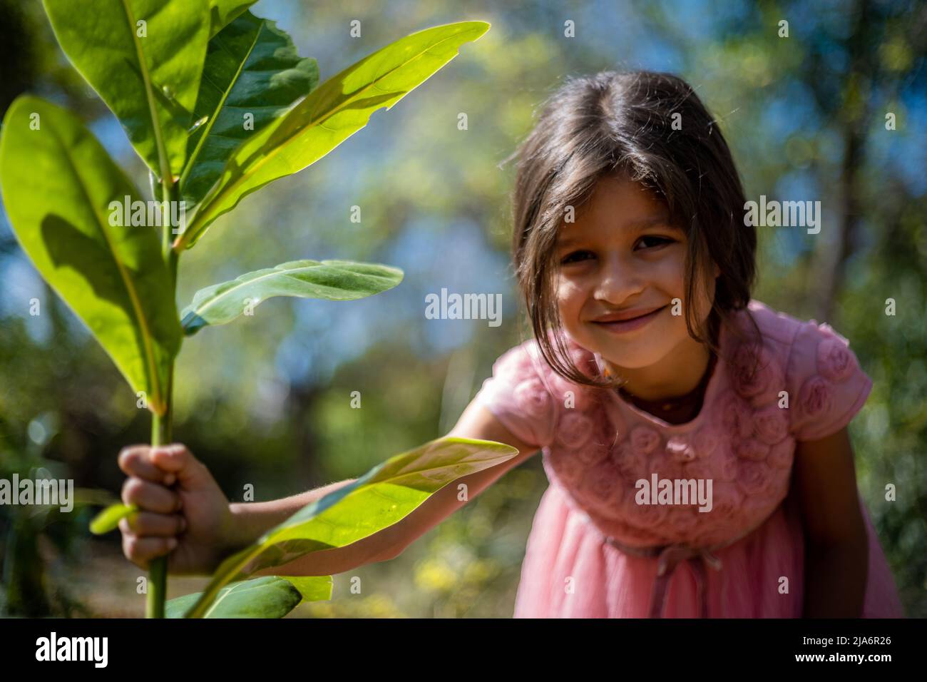 Asian girl planting tree Stock Photo - Alamy