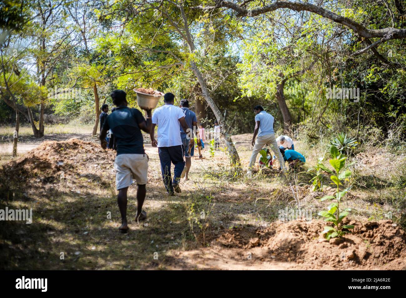 Diverse people planting trees hi-res stock photography and images - Alamy