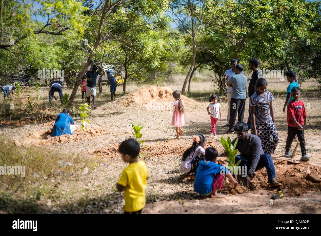 Asian people planting trees in forest area. group Stock Photo - Alamy