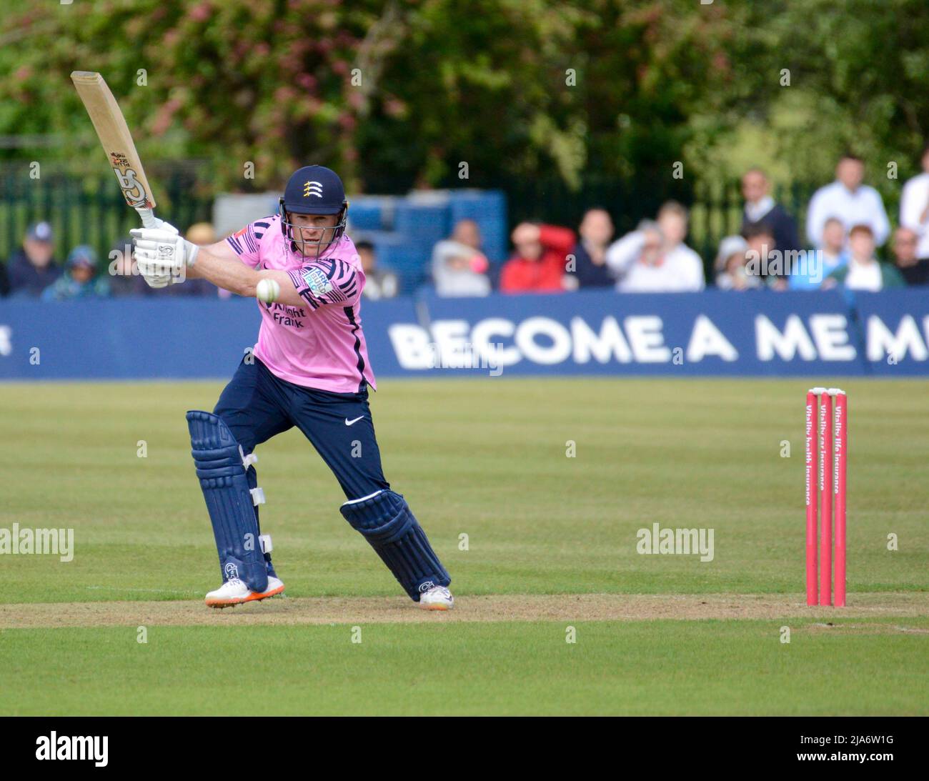 World class cricket hi-res stock photography and images - Alamy