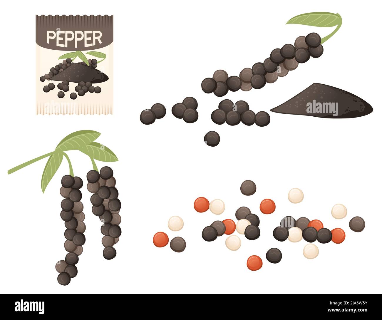 Set of Black pepper seasoning with whole and milled powder pepper paper ...