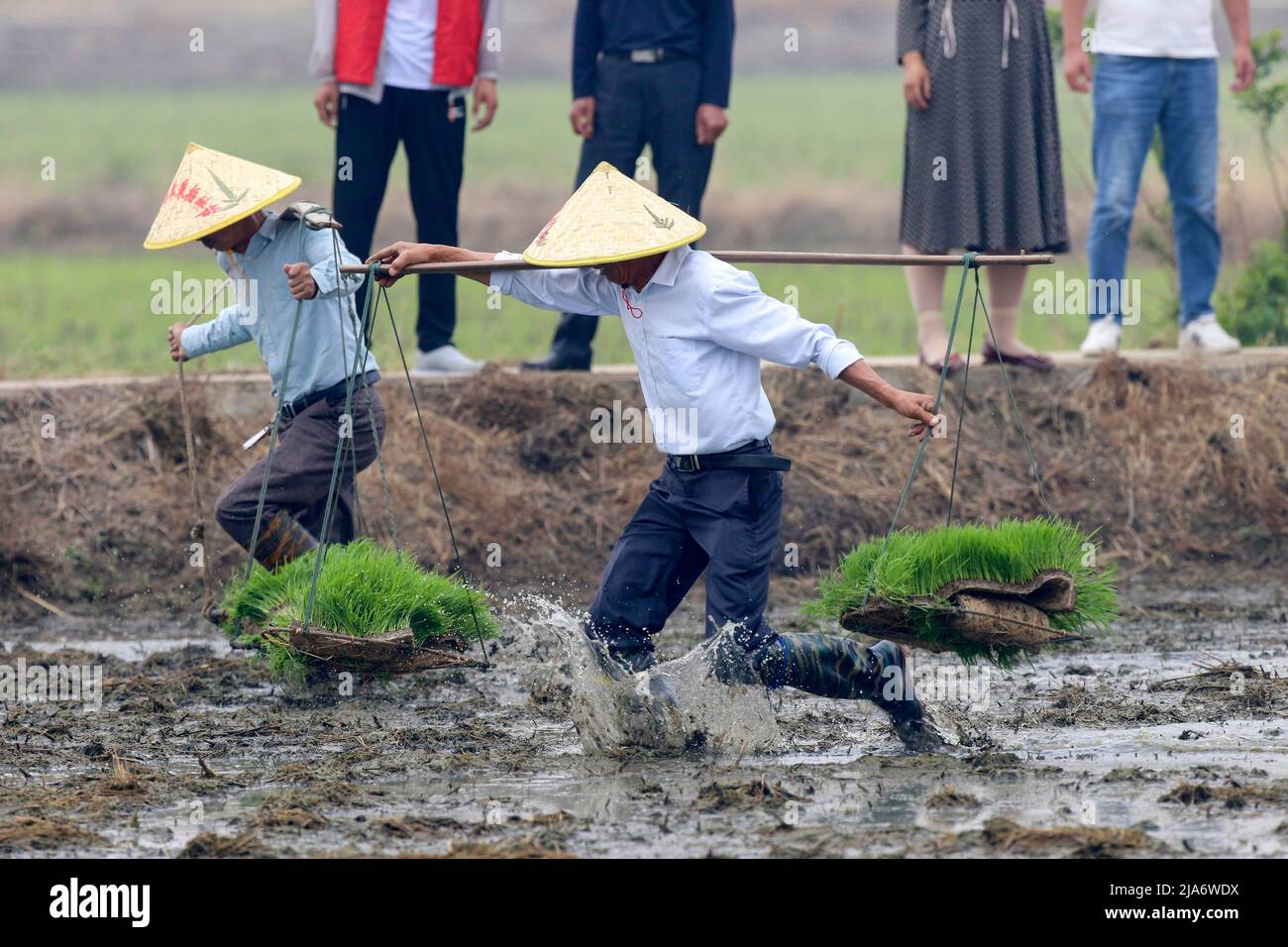 Qihu village hi-res stock photography and images - Alamy