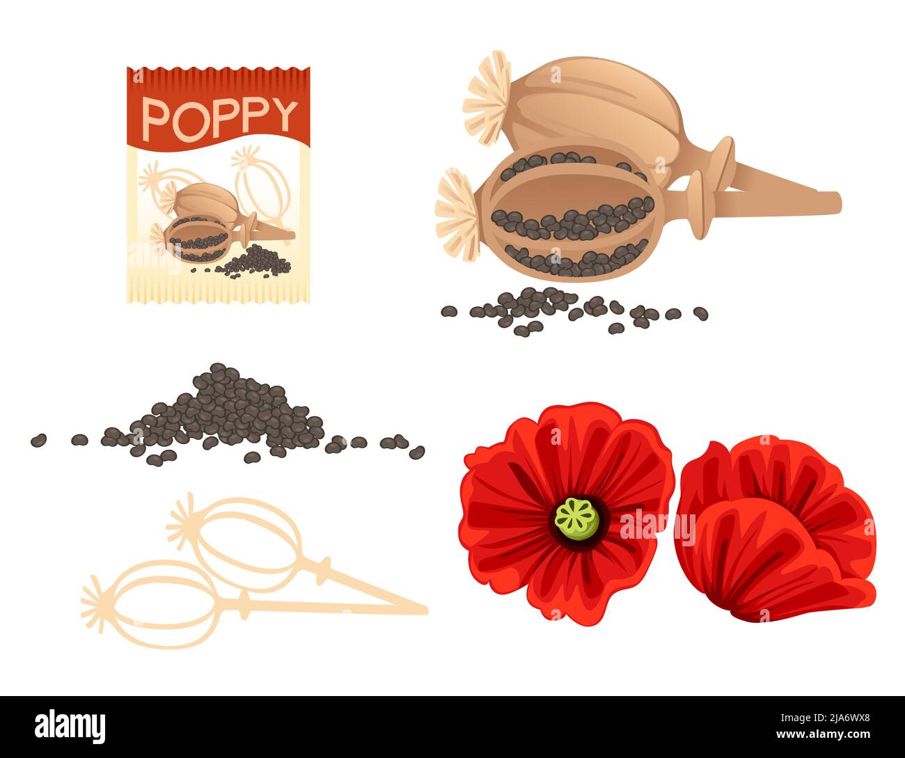 Set of Poppy seed seasoning with head and milled paper package vector ...