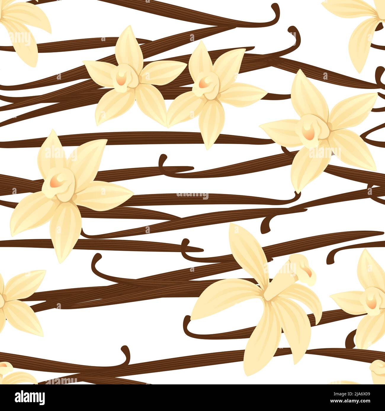 Seamless pattern of vanilla sticks with flowers vector illustration on ...