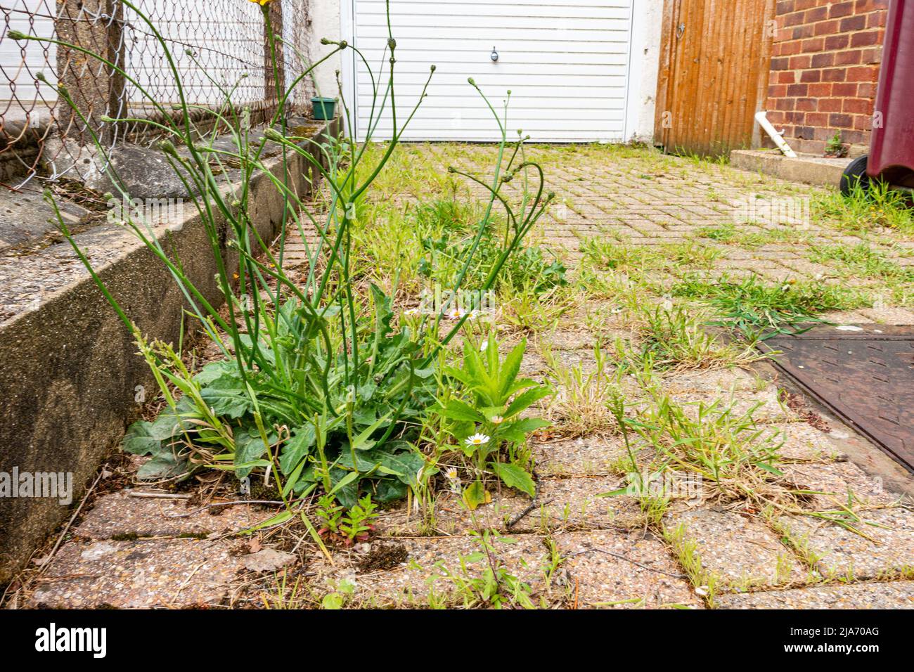 Block paving hi-res stock photography and images - Alamy