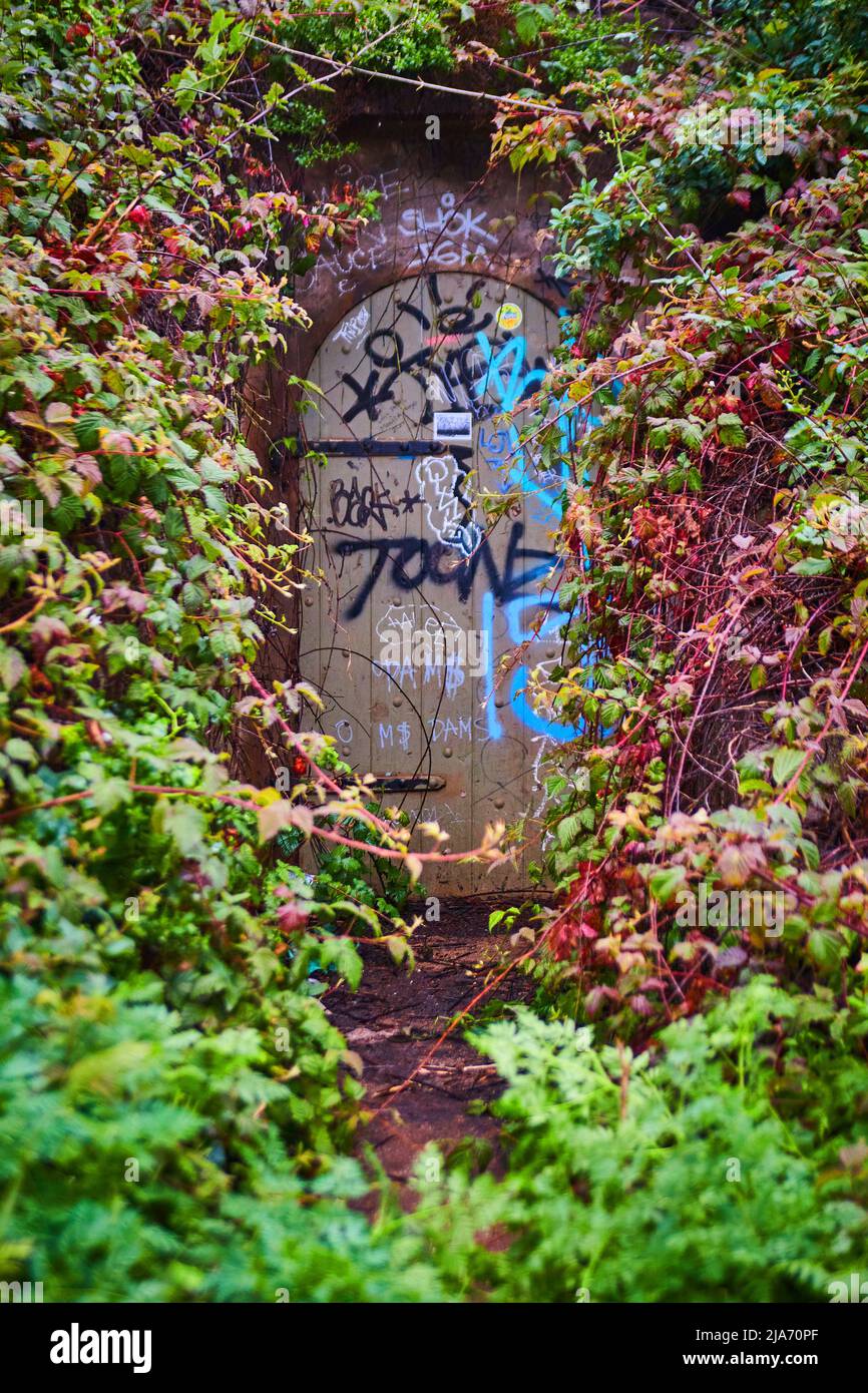 Eerie bunker entrance in forest covered in graffiti Stock Photo - Alamy