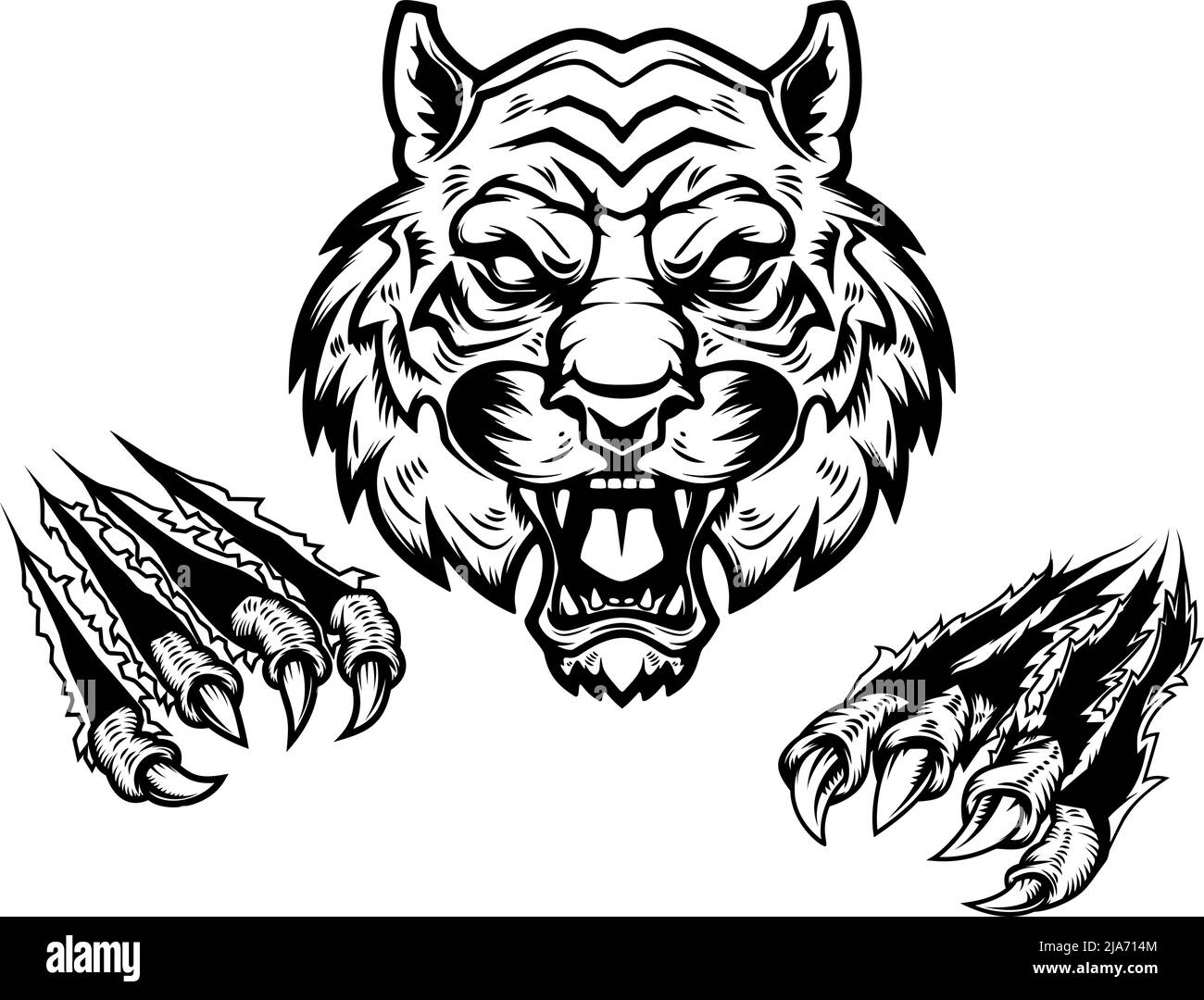 Skull and claws Stock Vector Images - Alamy