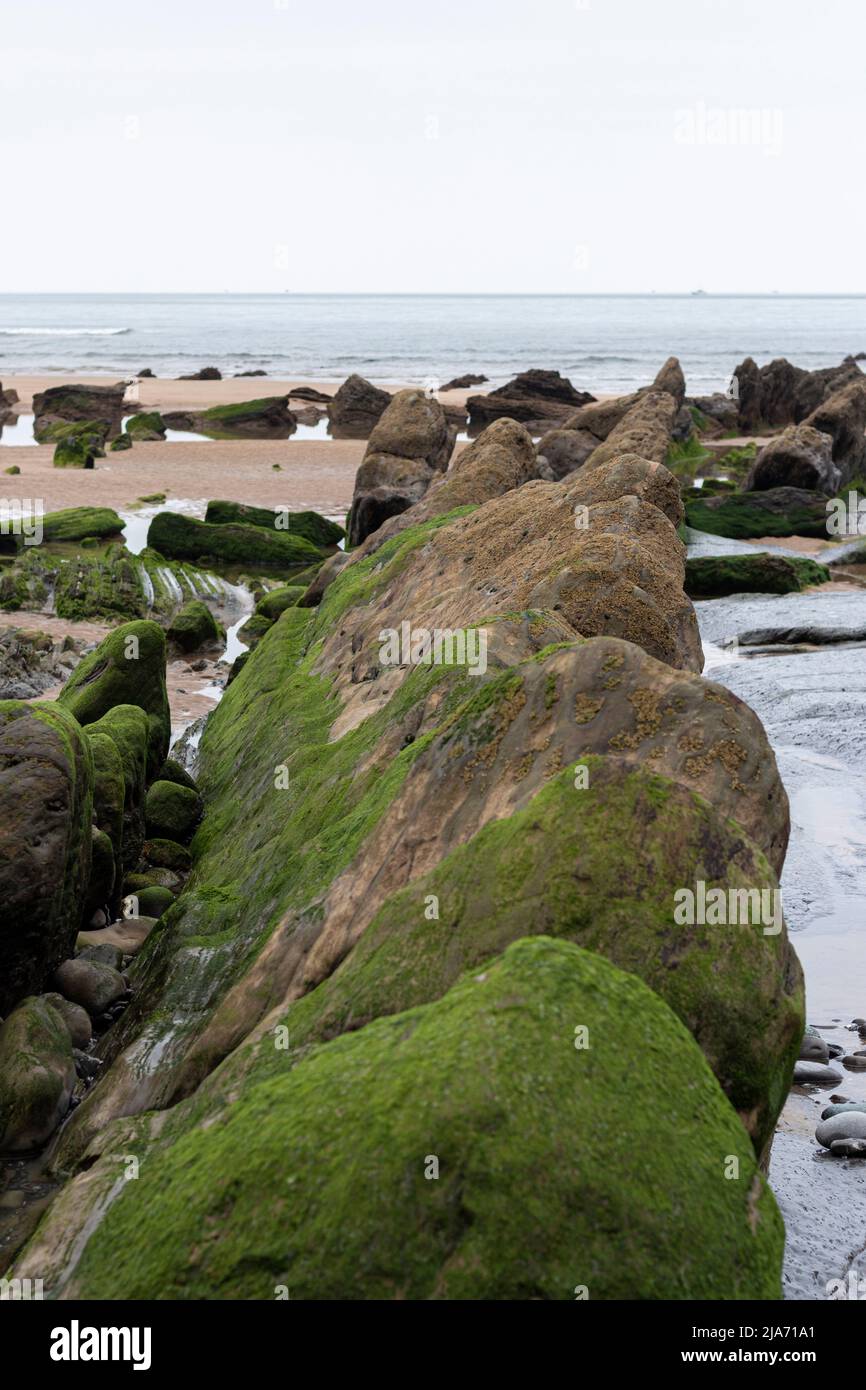 barrika beach on the basque coast in spring with the green rocks Stock ...