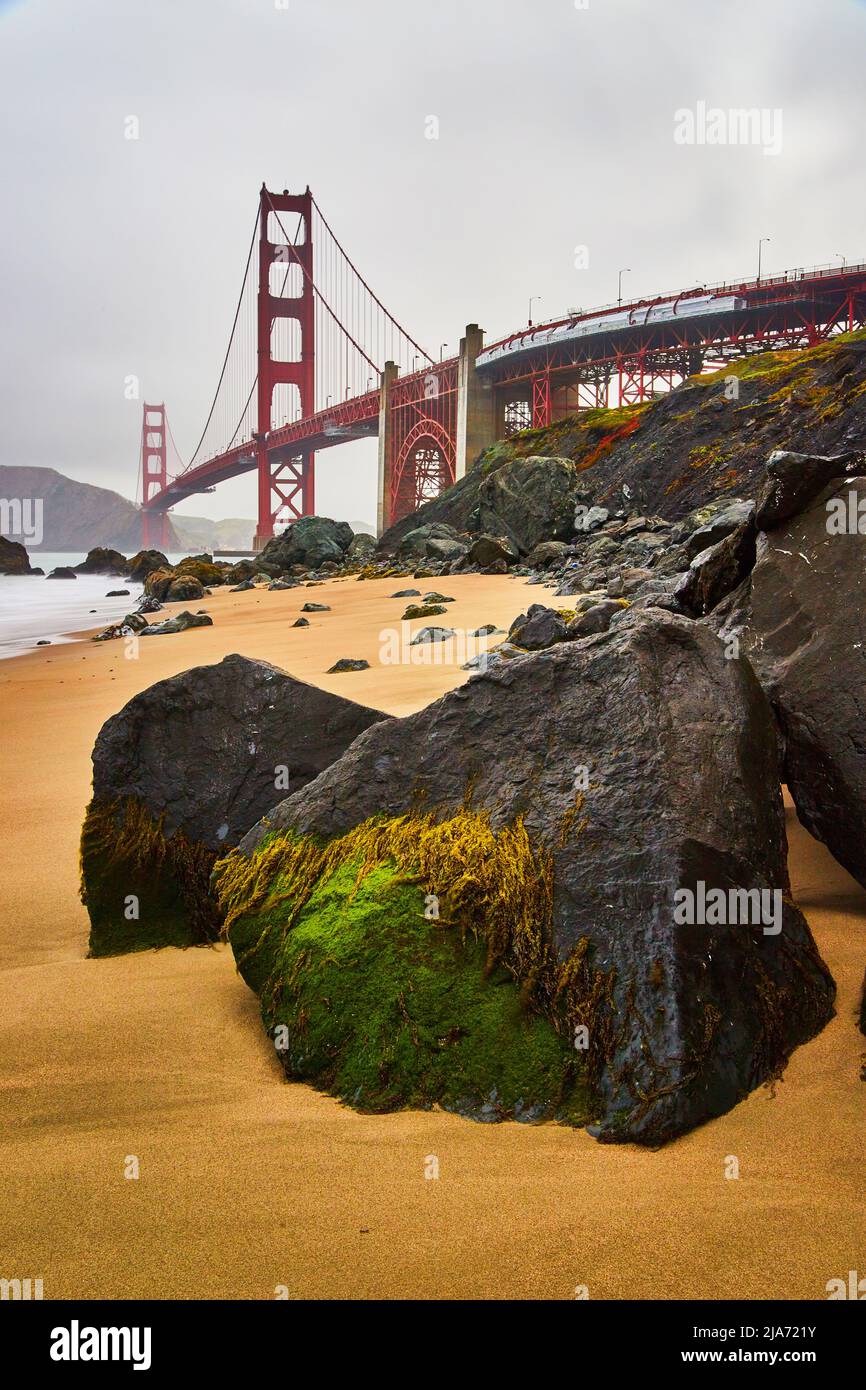 Moss covered bridge hi-res stock photography and images - Alamy