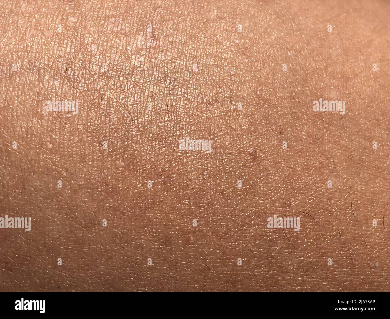 Close-up mature tanned skin of a human body Stock Photo - Alamy