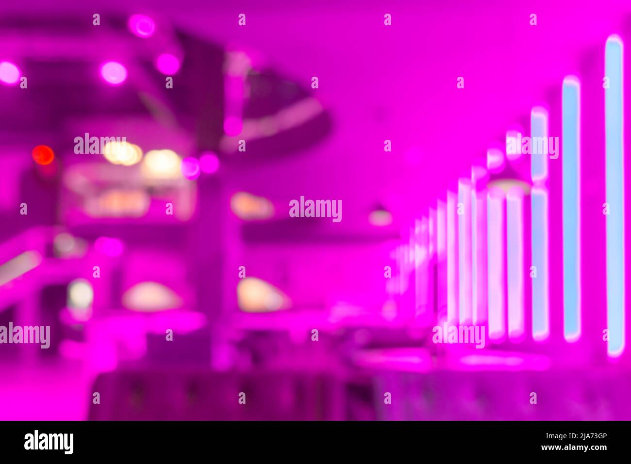 Blurred modern abstract interior of a nightclub with neon purple ...