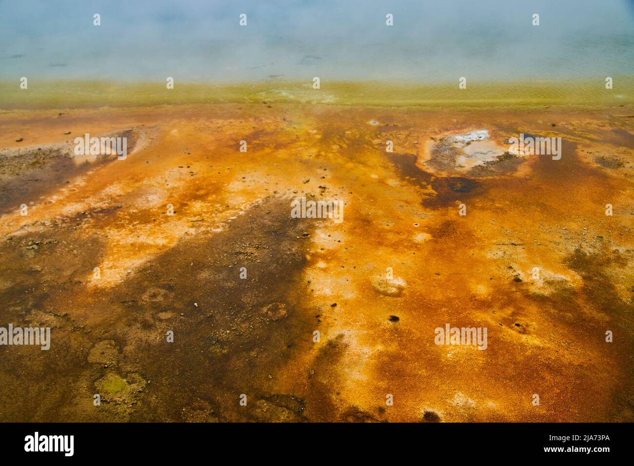 Detail of colorful Yellowstone pools of acidic sulfur Stock Photo - Alamy