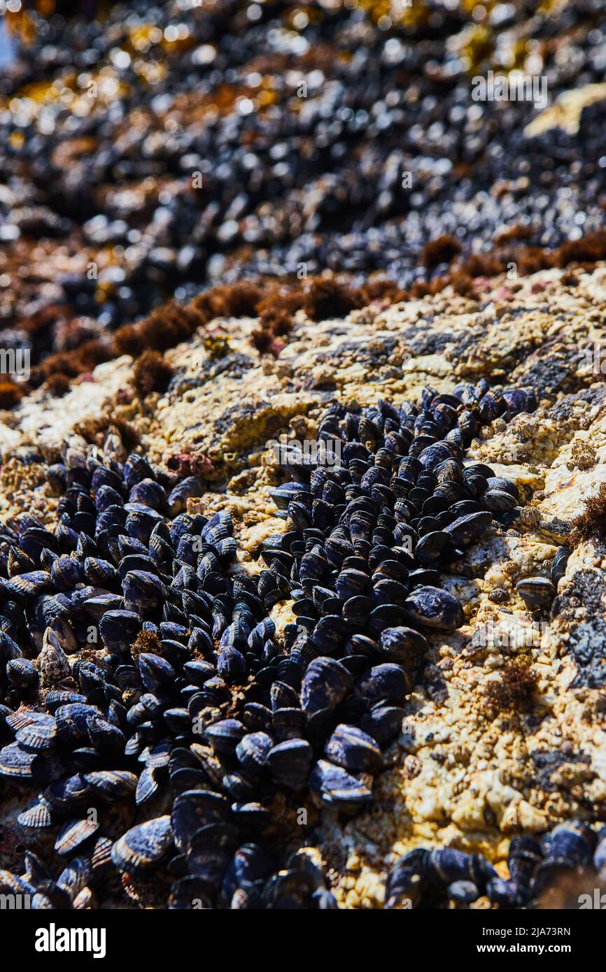 Hundreds of rocks hi-res stock photography and images - Alamy