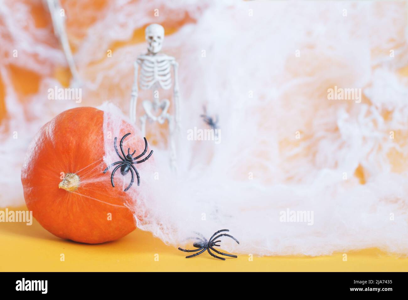 Halloween pumpkin with spider web, skeleton and black spiders on an ...