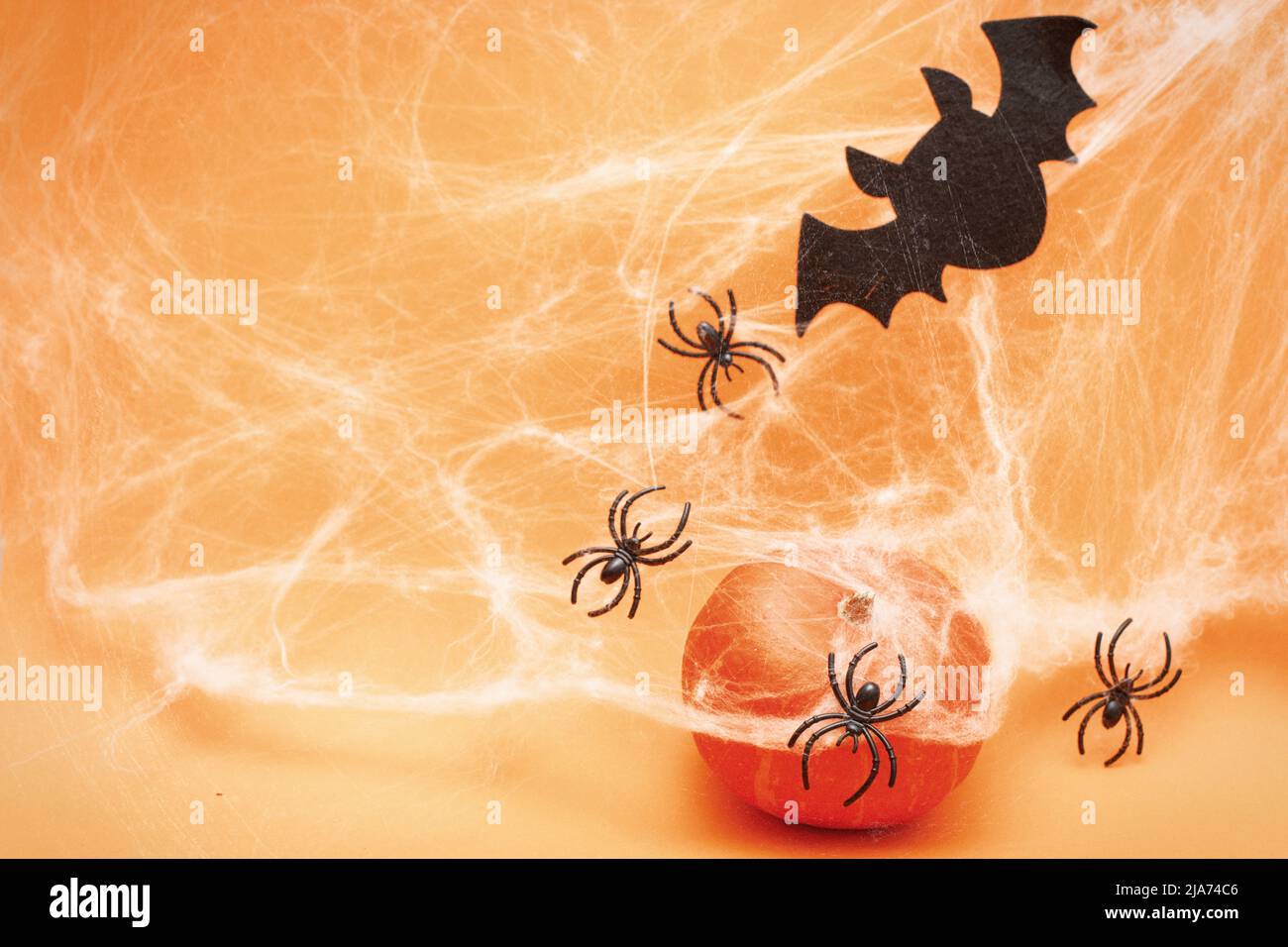 Halloween pumpkin with spider web, bat and black spiders on an orange ...