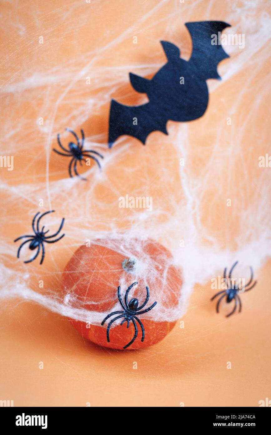 Halloween pumpkin with spider web, bat and black spiders on an orange ...
