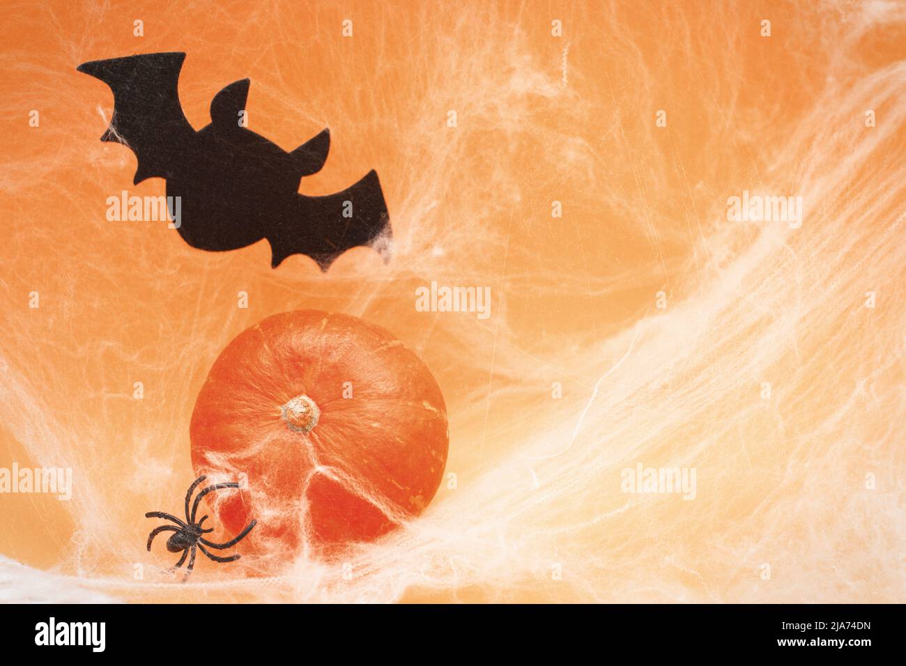 Halloween pumpkin with spider web, bat and black spiders on an orange ...