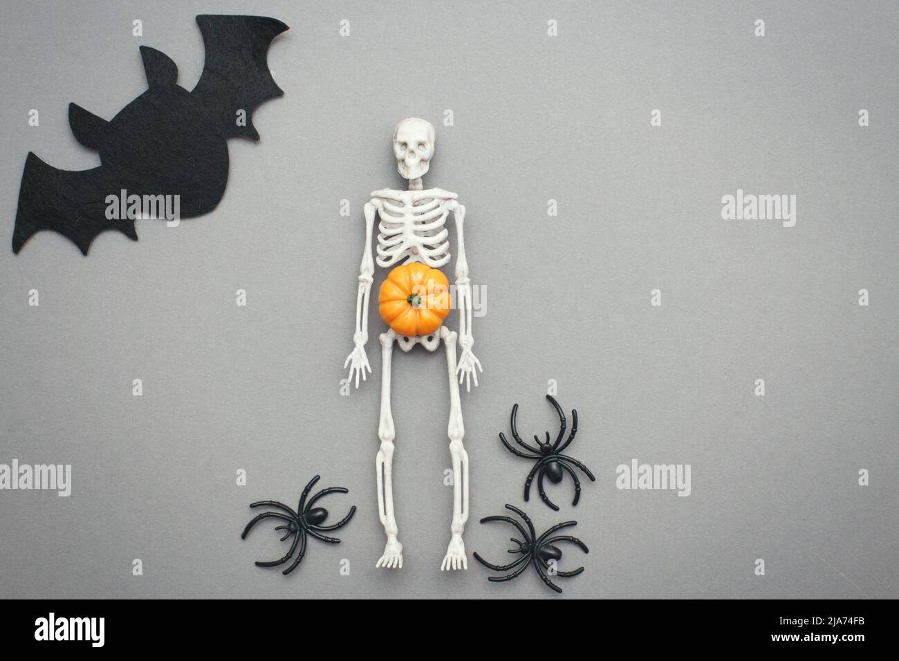 skeleton with pumpkin, bat and black spiders on grey background ...