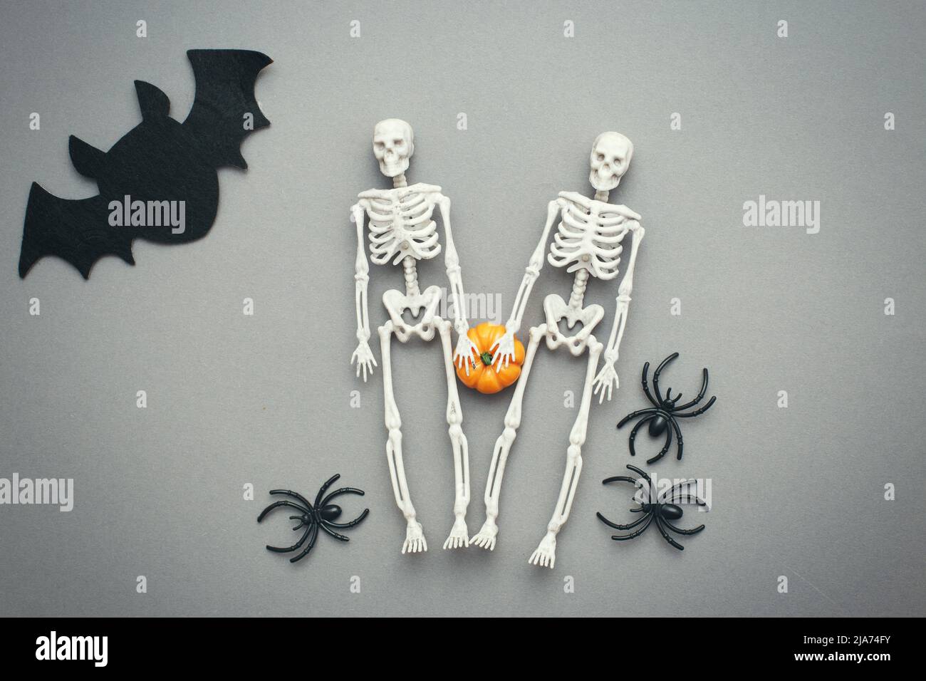 Bat skeleton hi-res stock photography and images - Alamy