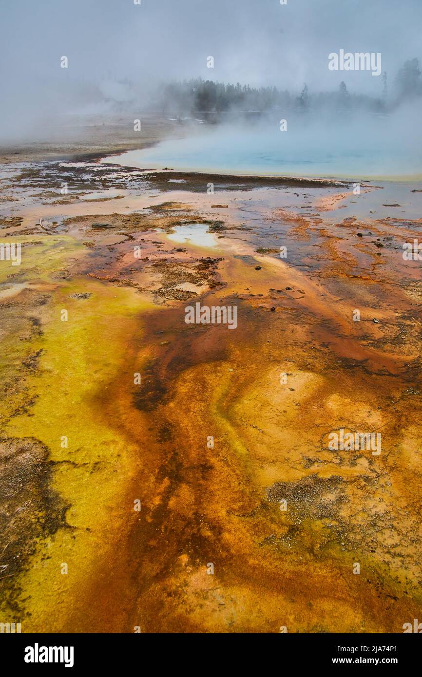 Acidic and colorful pools of Yellowstone in spring with sulfur gasses ...
