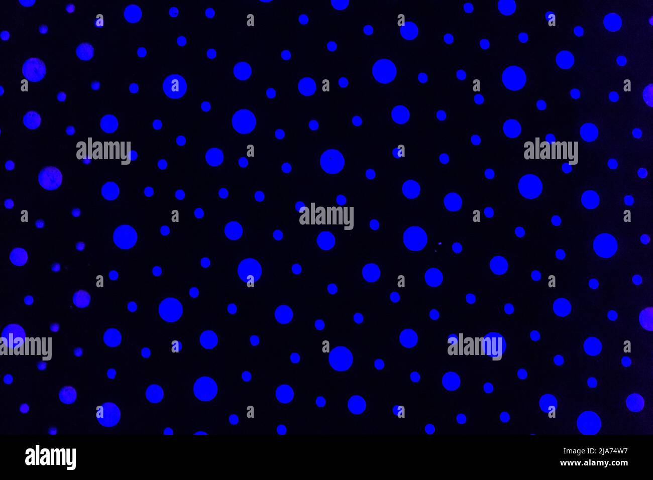 Blue Abstract Round Polka Dot Pattern Sample Template Background Design ...