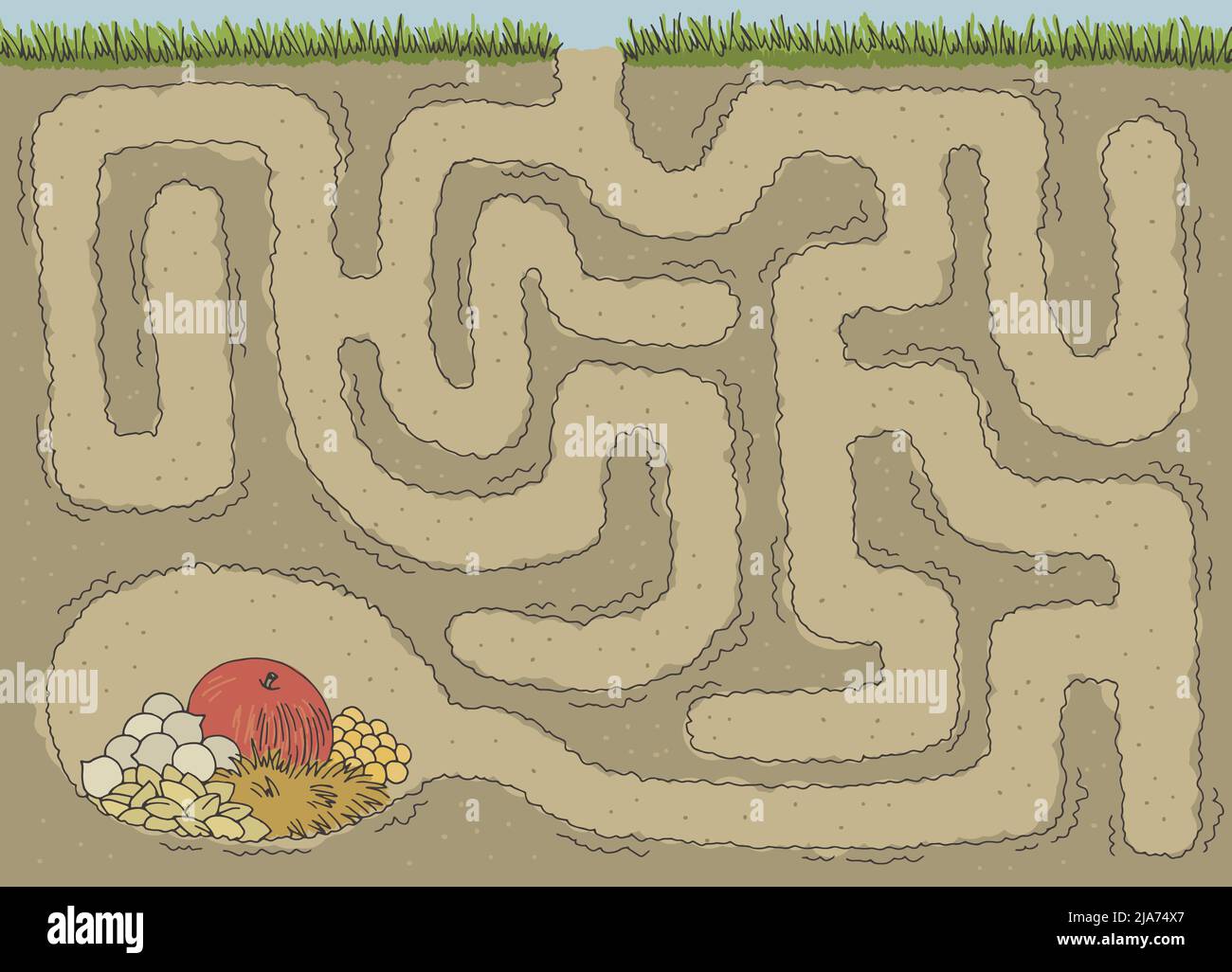 Burrow maze graphic color sketch illustration vector Stock Vector Image ...