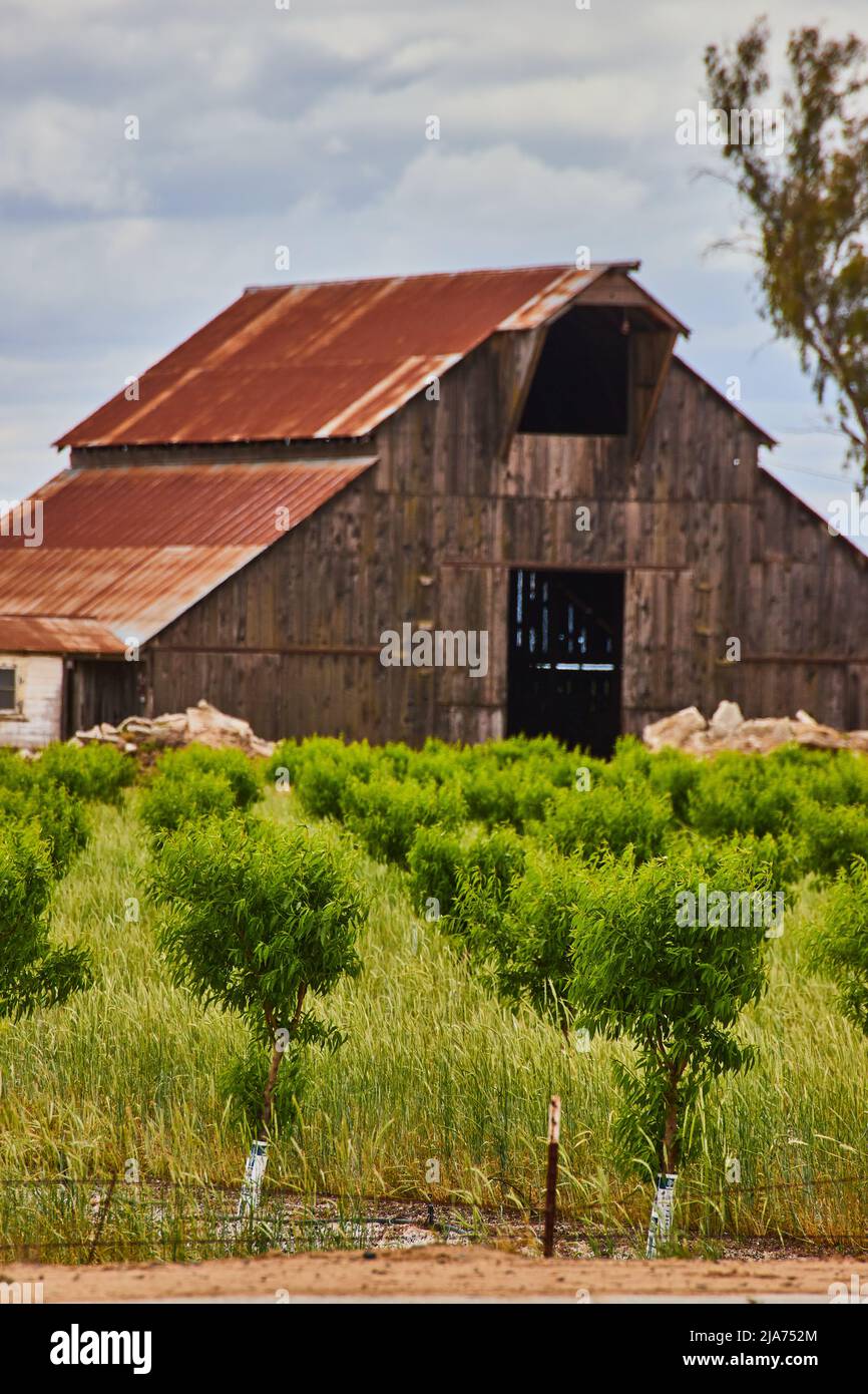 Stormy landscape trees next hi-res stock photography and images - Alamy