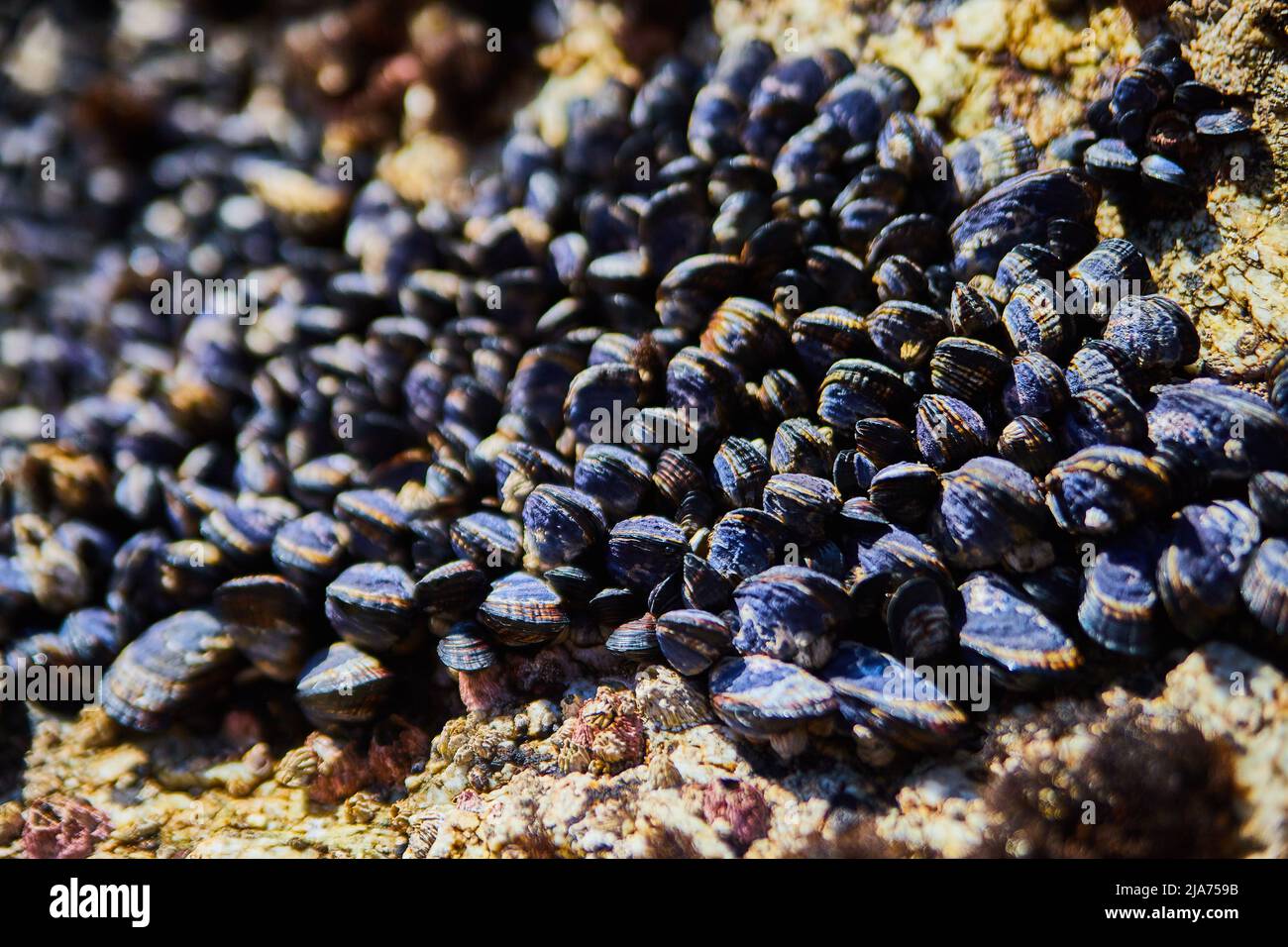 Hundreds of rocks hi-res stock photography and images - Alamy