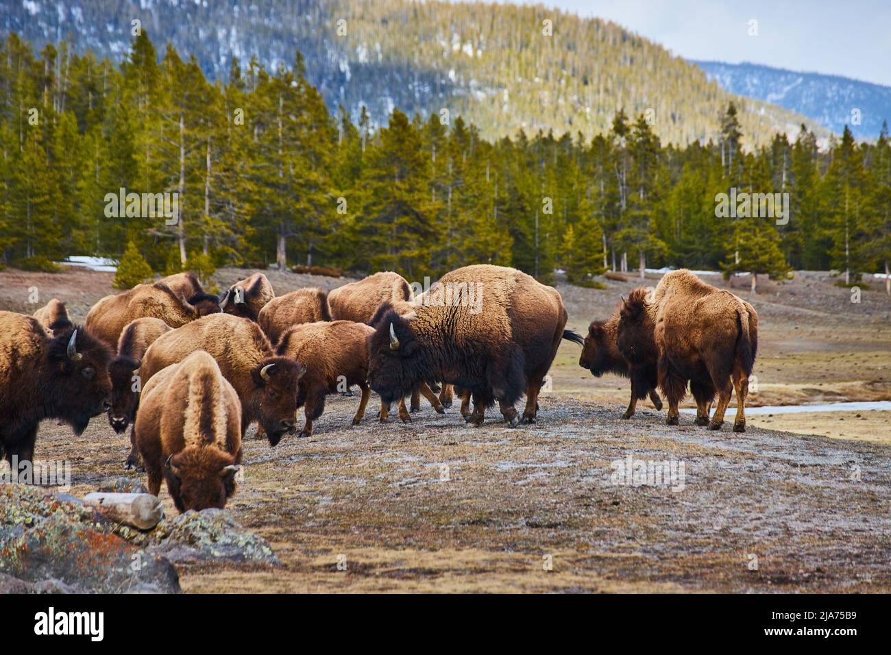 Yellowstone ranch hi-res stock photography and images - Alamy