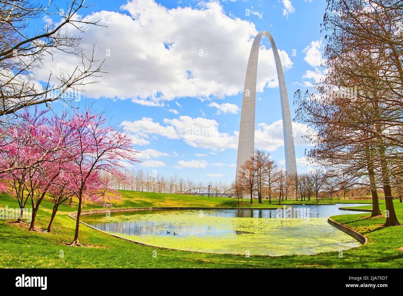 Gateway Arch in St. Louis by lake lined with cherry trees in early ...