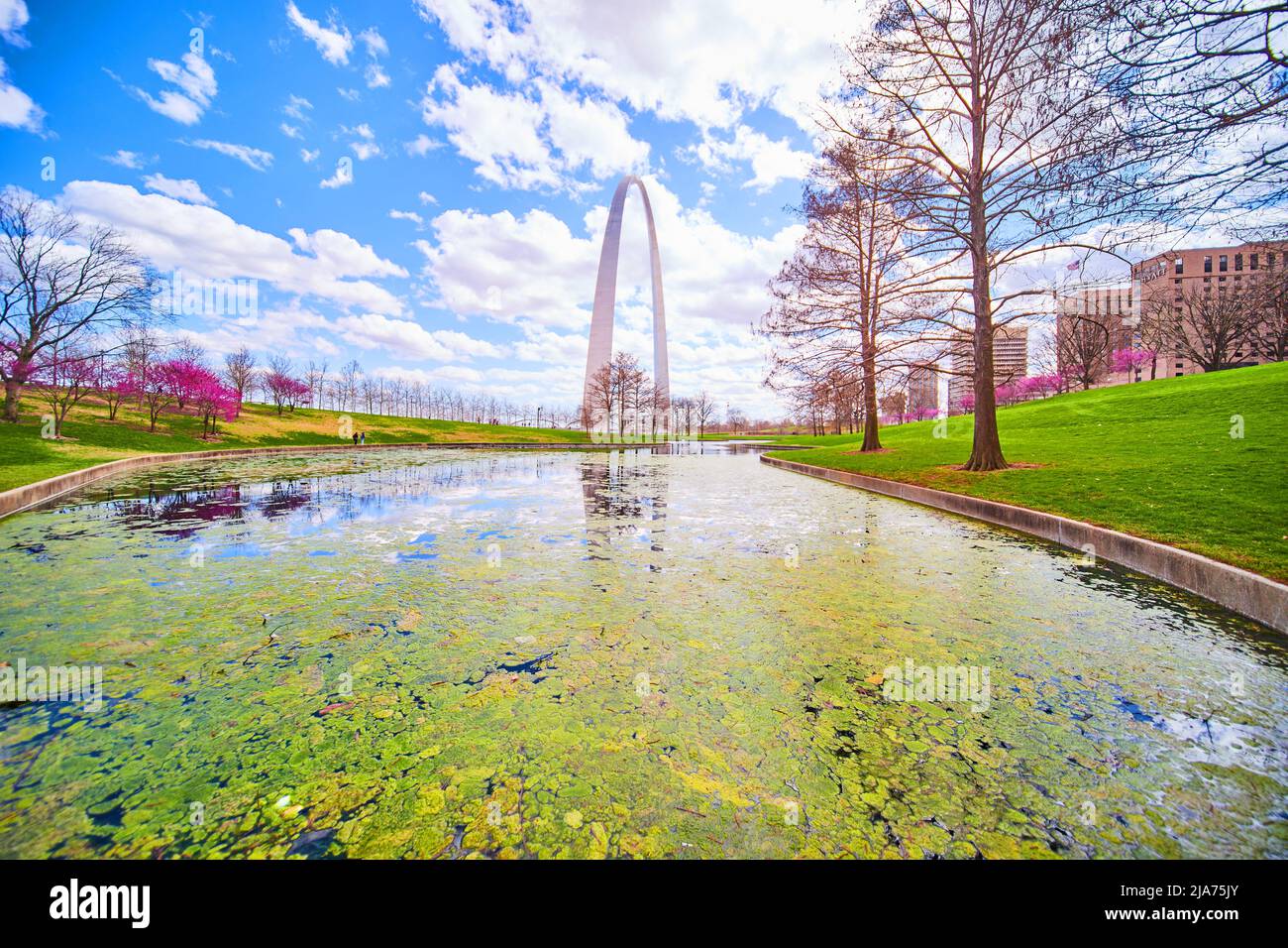 Gateway Arch behind beautiful algae pond in early spring Stock Photo ...
