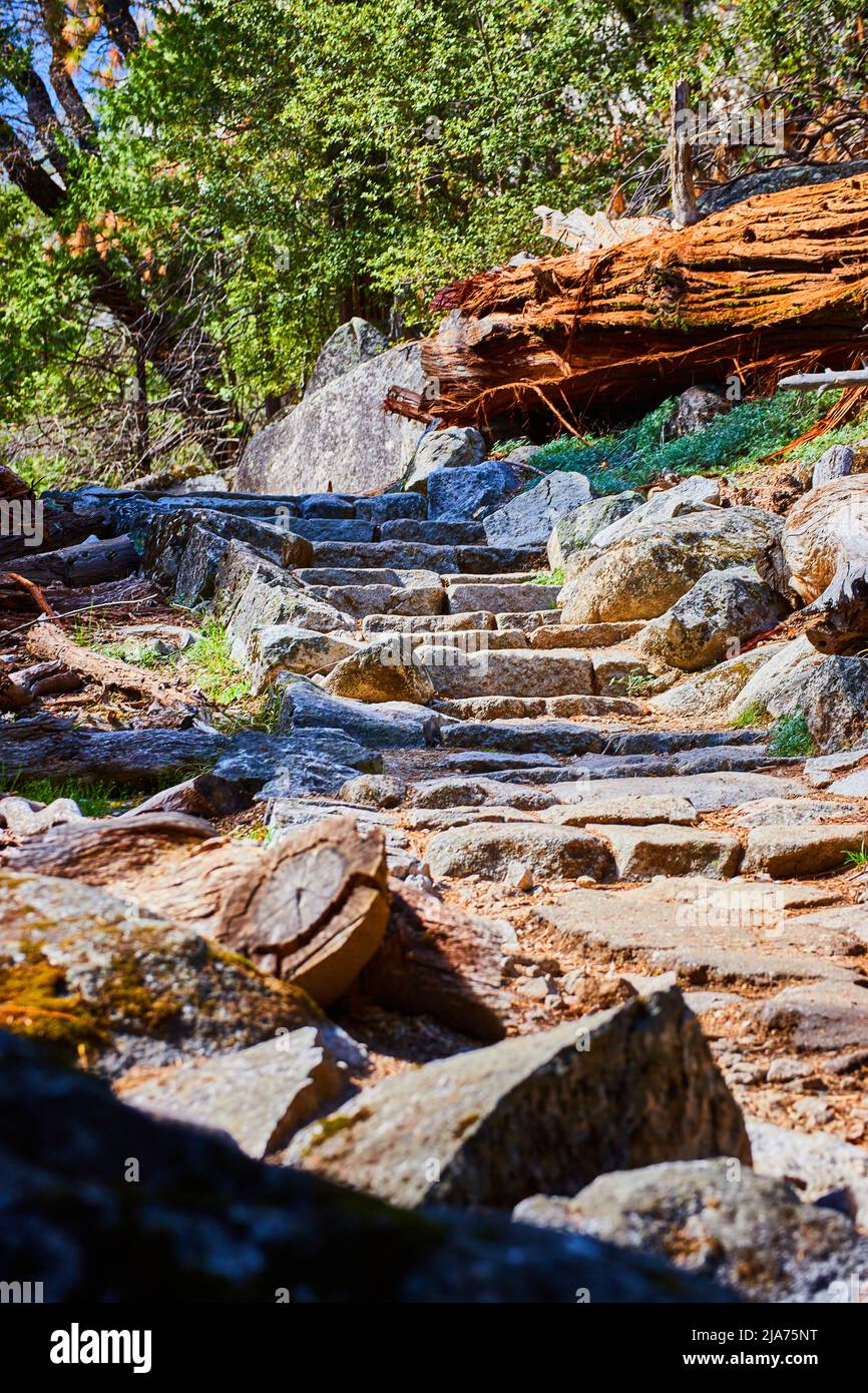 Hiking trail stone steps winding up into woods Stock Photo - Alamy