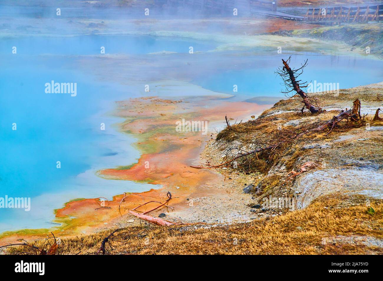 Dangerous alkaline pools with blue depths in Yellowstone basin Stock ...