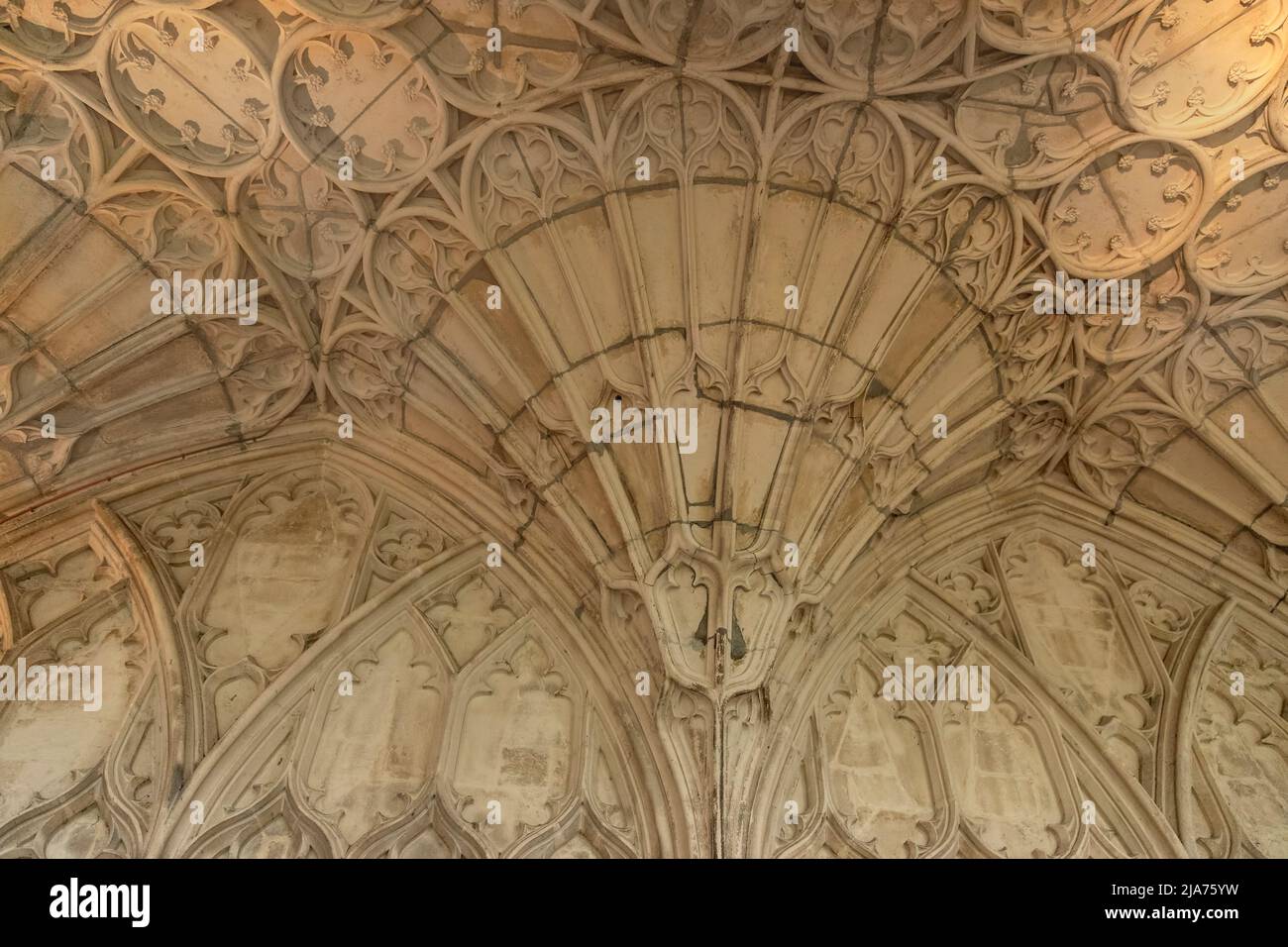Detailed view of the exquisite patterns in the fan vaulted ceiling of ...